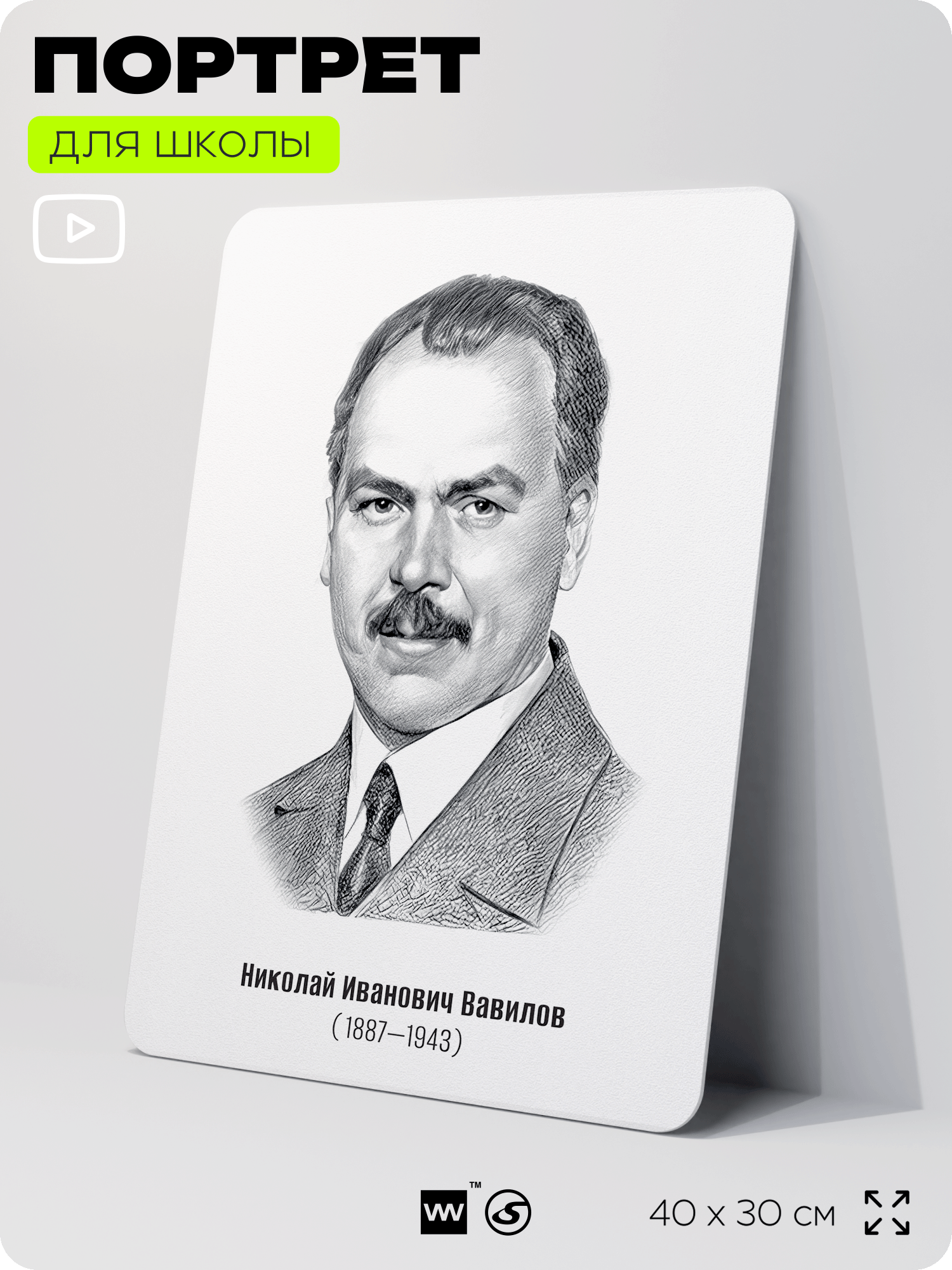 Портрет для школы в кабинет биологии "Николай Иванович Вавилов", стенд школьный для класса, деятели науки для оформления классного уголка, 40х30 см, Silver Plane x Айдентика Технолоджи