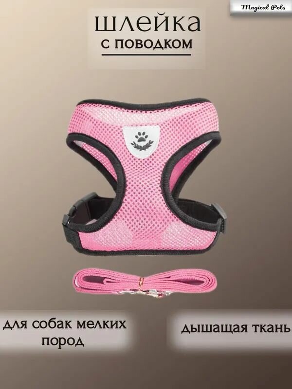 Шлейка-жилетка для собак и кошек с поводком — анатомическая прогулочная шлейка для мелких и средних пород и котят