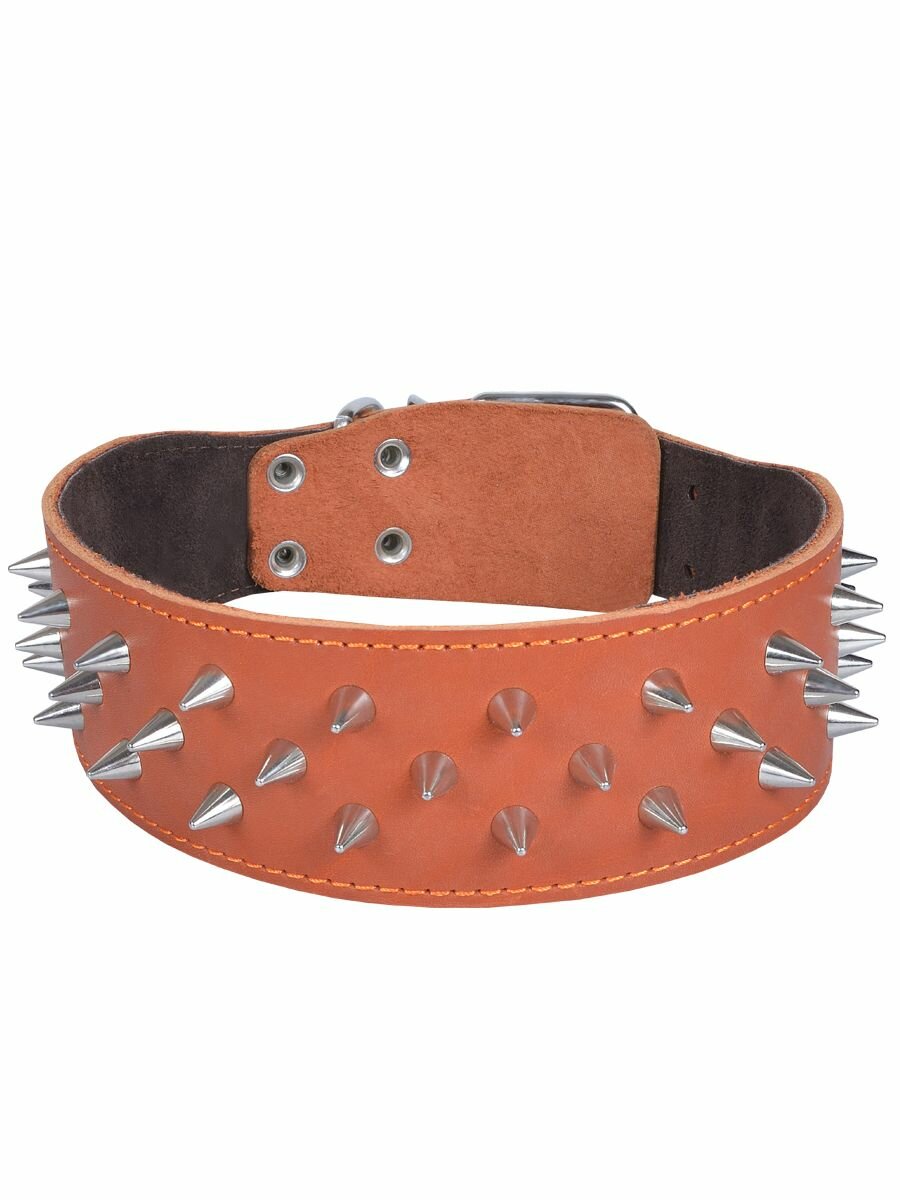 Ошейник для средних и крупных собак кожаный с шипами