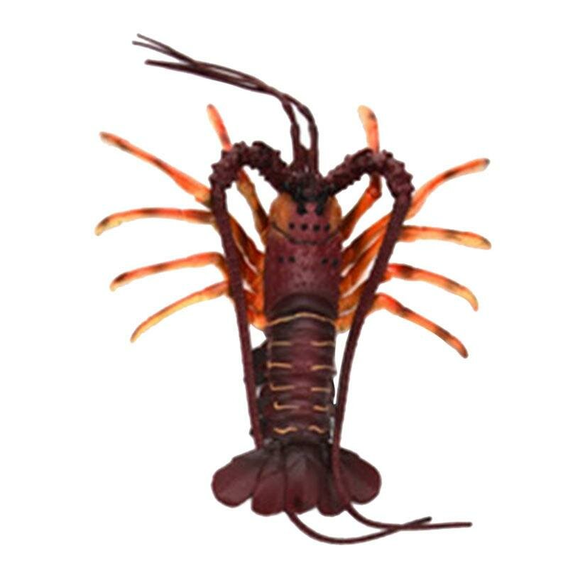 Реалистичные твердые модели животных подводного мира, реалистичные большие детские познавательные игрушки-омары, модели морских организмов, C