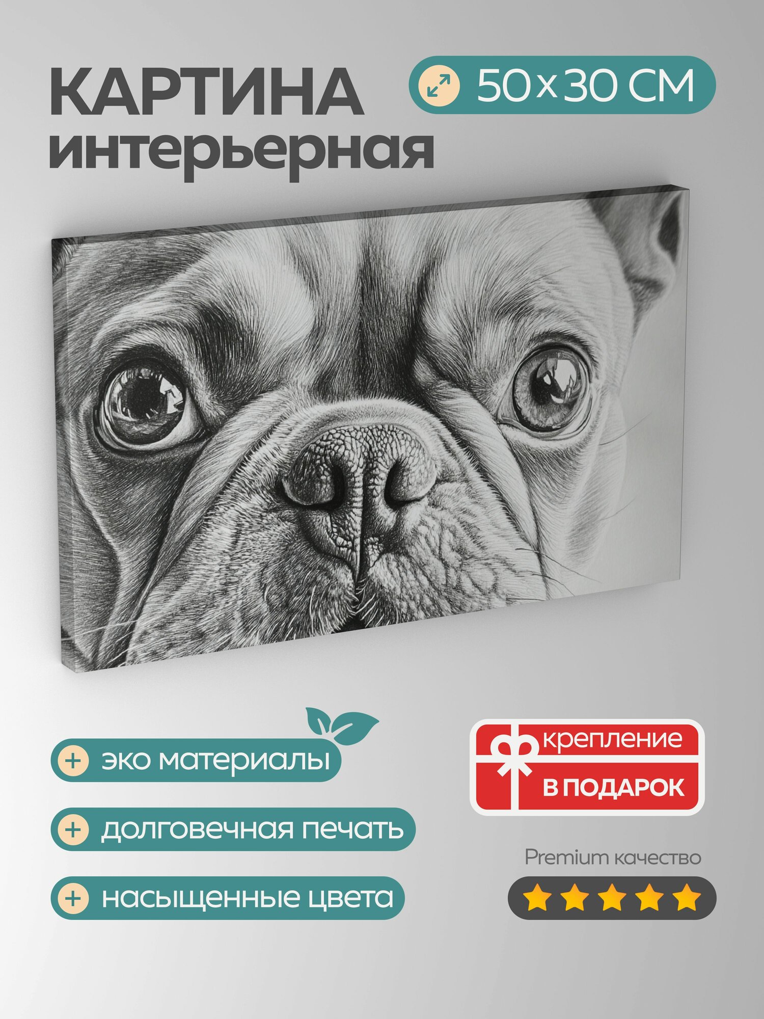Картина на холсте интерьерная 50х30 см, французский бульдог, графитовый рисунок, серые оттенки, морщинистая морда