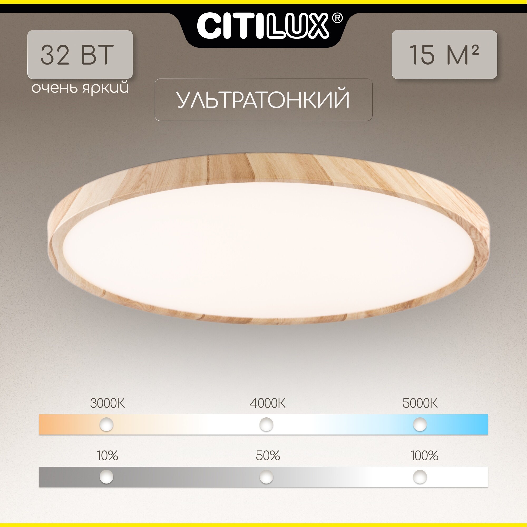 Светильник для дома накладной Citilux Бейсик CL738322V, регулировка яркости диммером