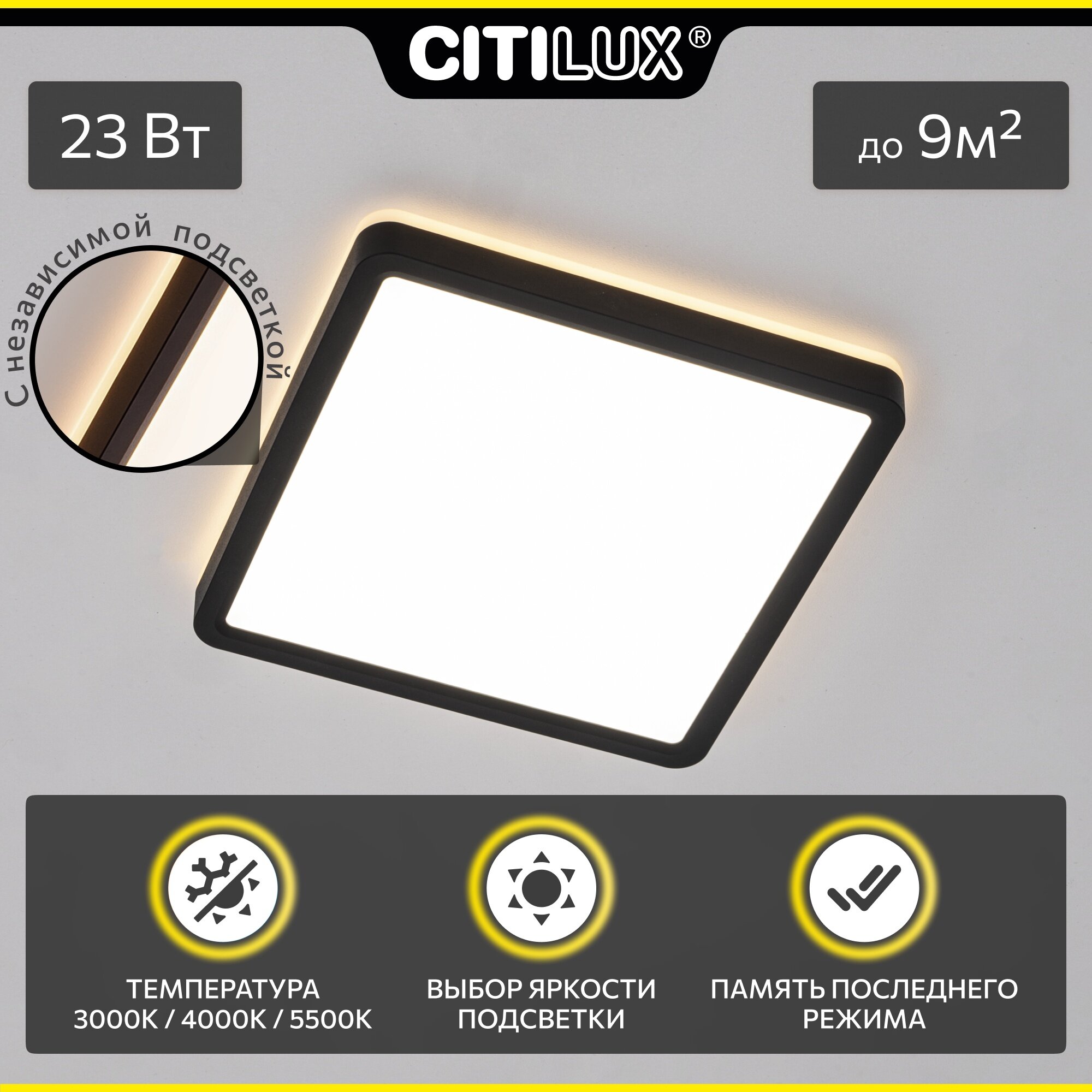 Светильник для дома накладной Citilux NORMA CL748K201, цвет арматуры черный