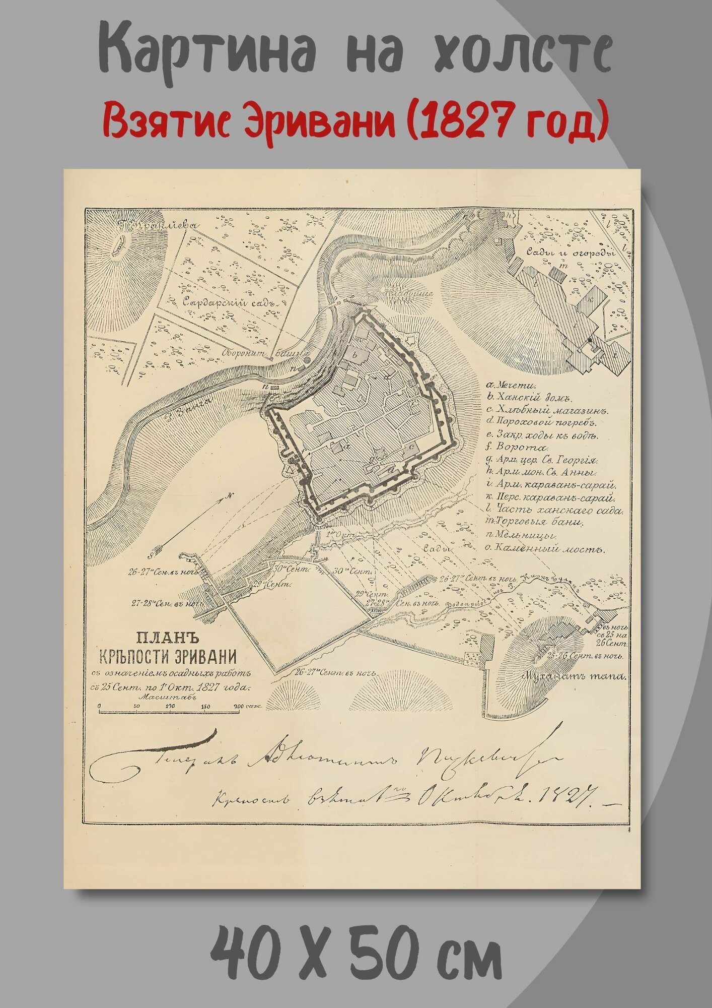 Картина с исторической схемой "Взятие Эривани 1827 год" 50х40 см
