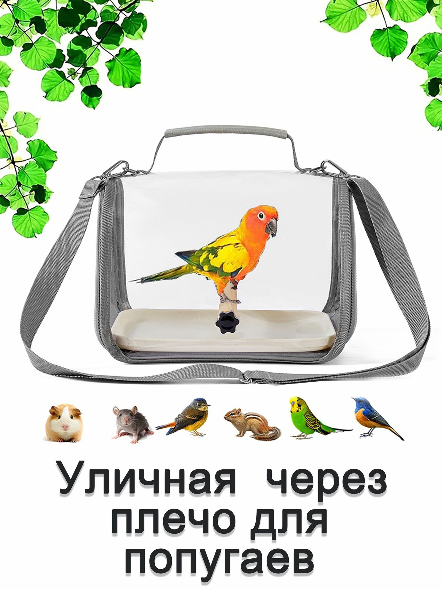 Голубь ящерица, птичья клетка на вынос, чехол для переноски мелких зоотоваров