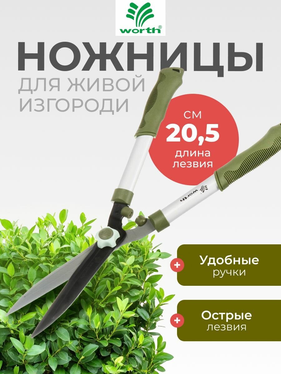 Ножницы кусторез садовые для дачи, 545 мм, для живой изгороди, Worth