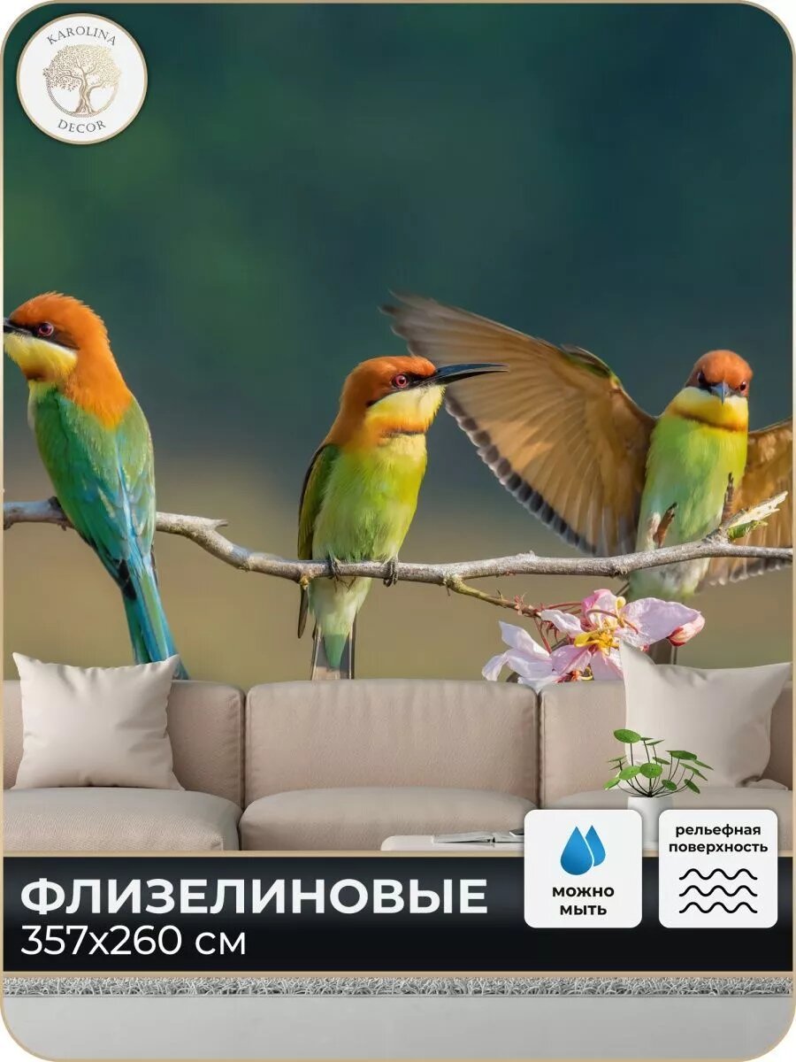 Фотообои Птицы в детскую в спальню на кухню 350х260