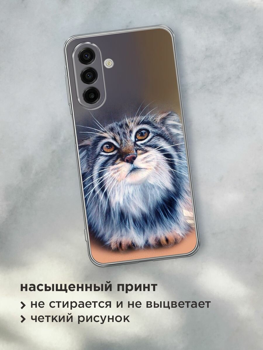 Чехол на Samsung Galaxy A17 / Самсунг А17 с принтом "Кот манул 2" — фото 1