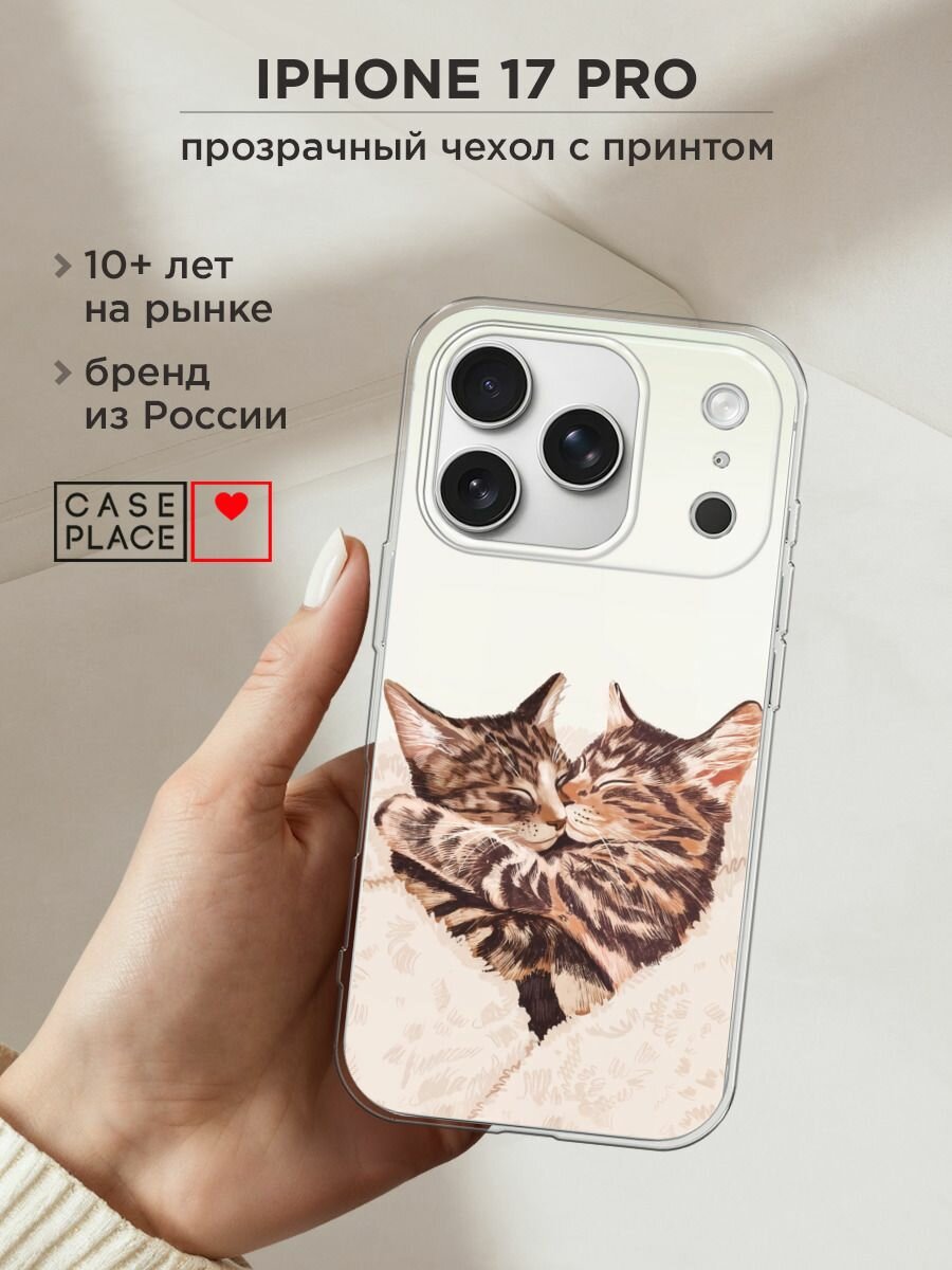 Чехол на Apple iPhone 17 Pro / Айфон 17 Про с принтом "Влюбленные котейки - 14 февраля"