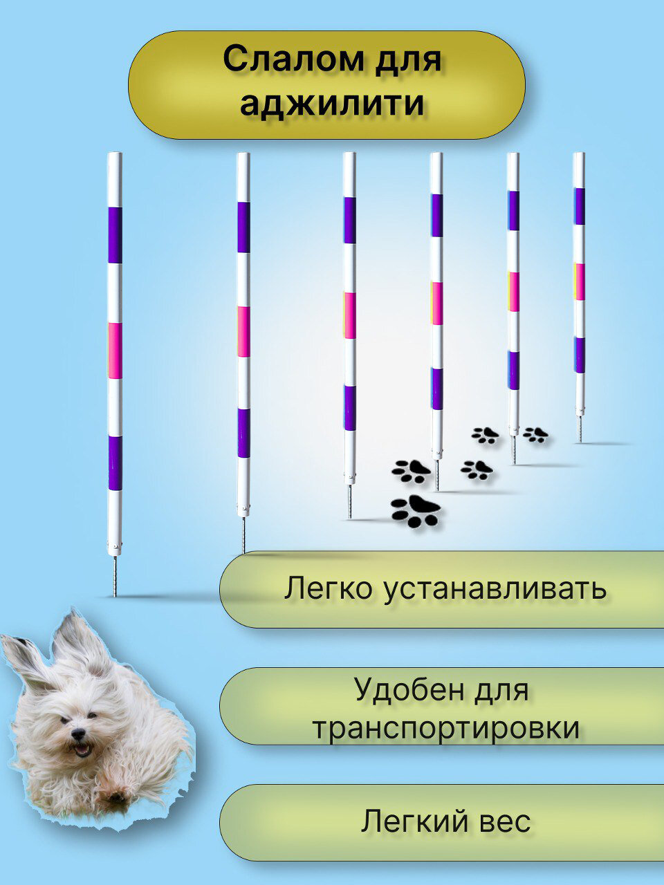 Слалом для аджилити (слалом для собак)