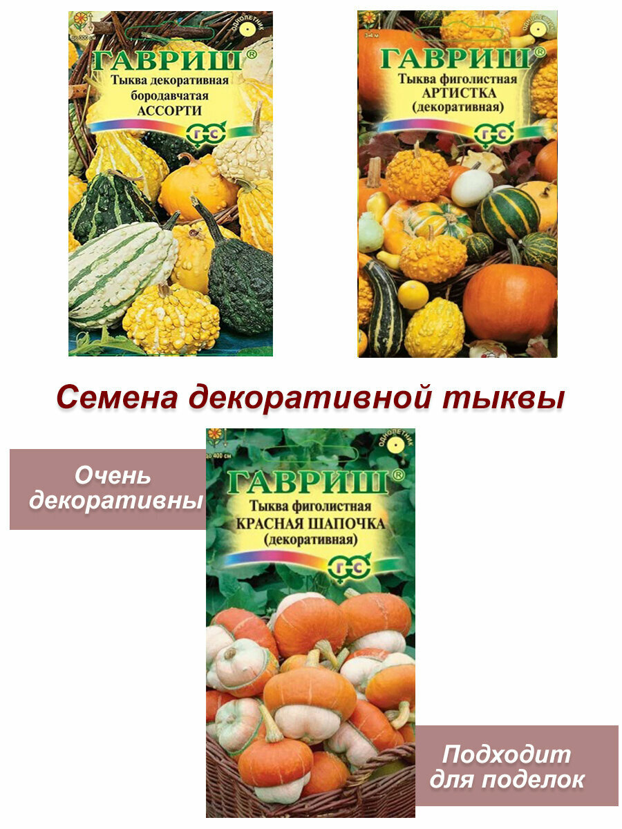Семена, набор семян Декоративные тыквы, 3 пакета