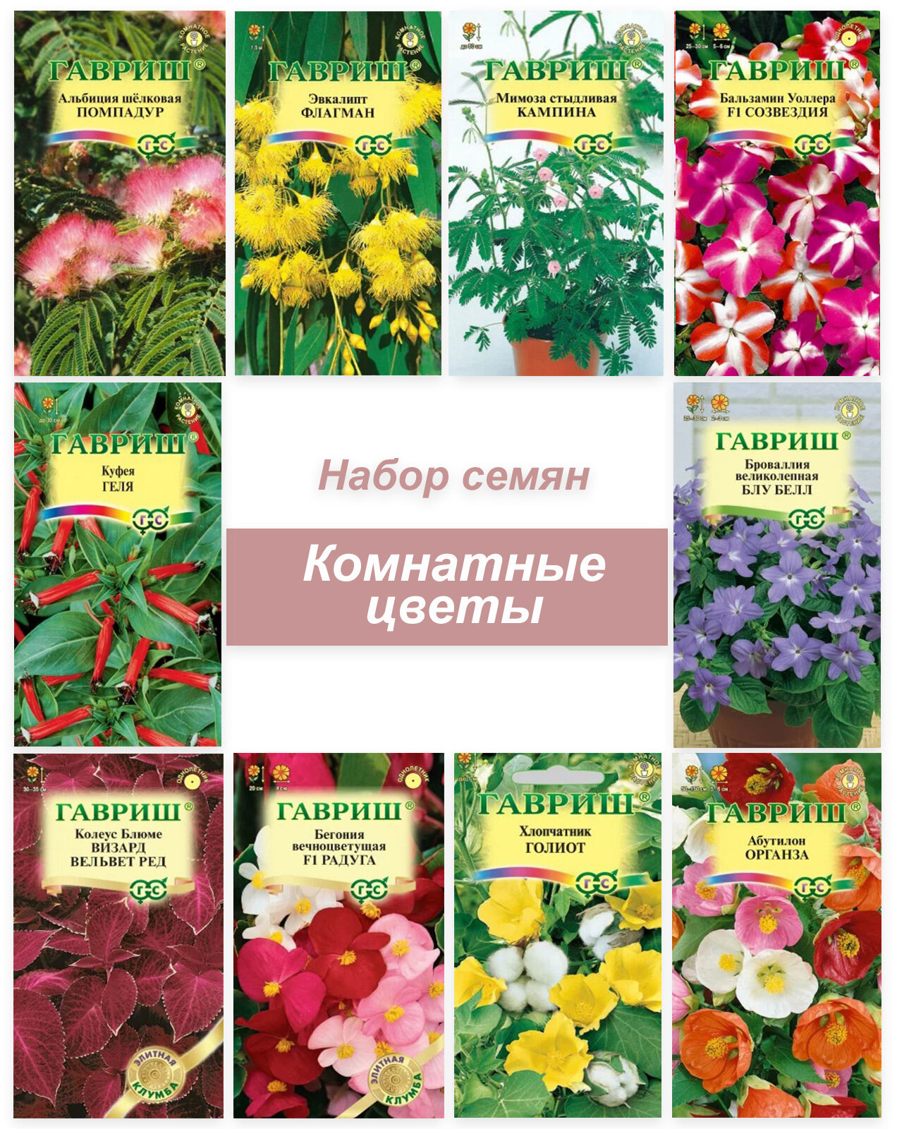 Семена комнатных цветов и растений
