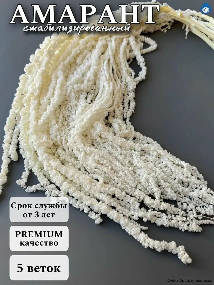 Стабилизированные цветы Амарант, 150 гр, 1 шт