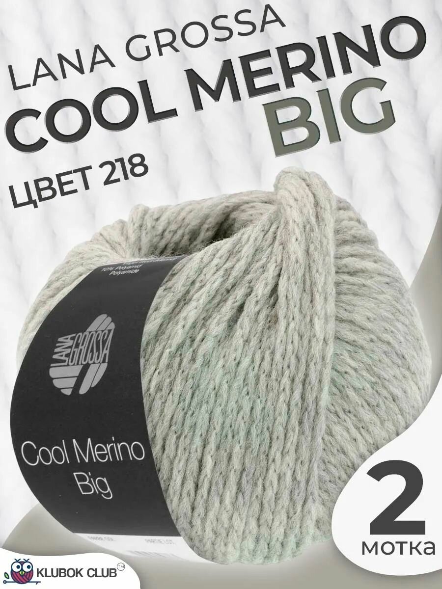 Пряжа для вязания Lana Grossa Cool Merino Big шнурок, цвет 218, 2 мотка