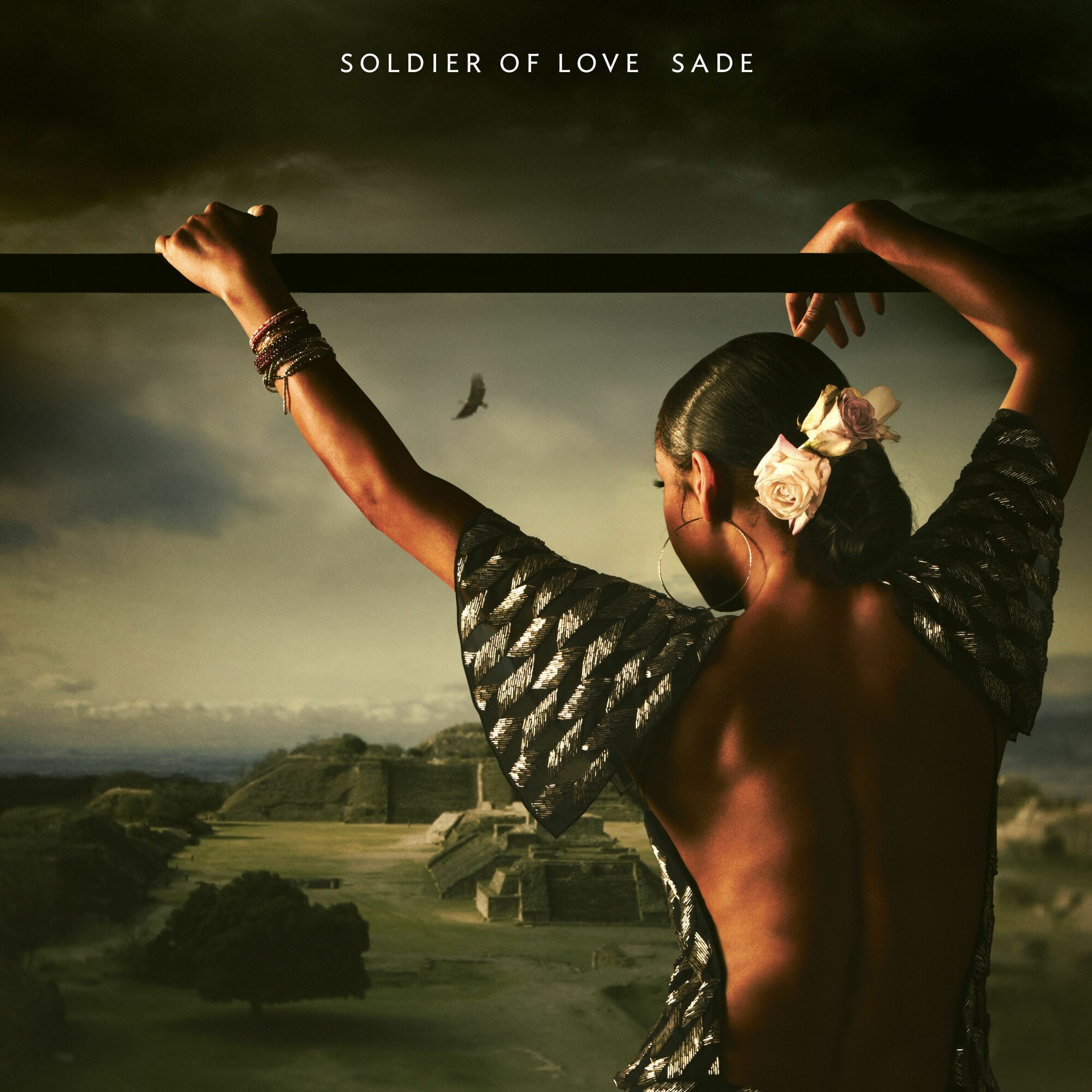 Виниловая пластинка Sade Soldier Of Love (Half-Speed Edition)
