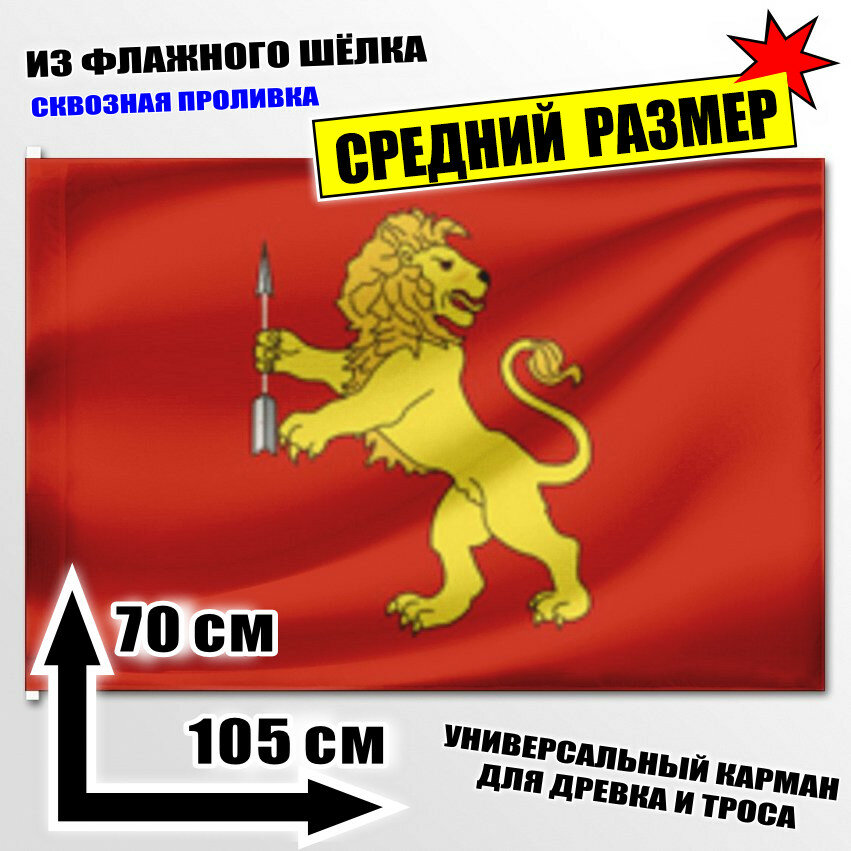 Флаг средний Башмакова 105x70 см