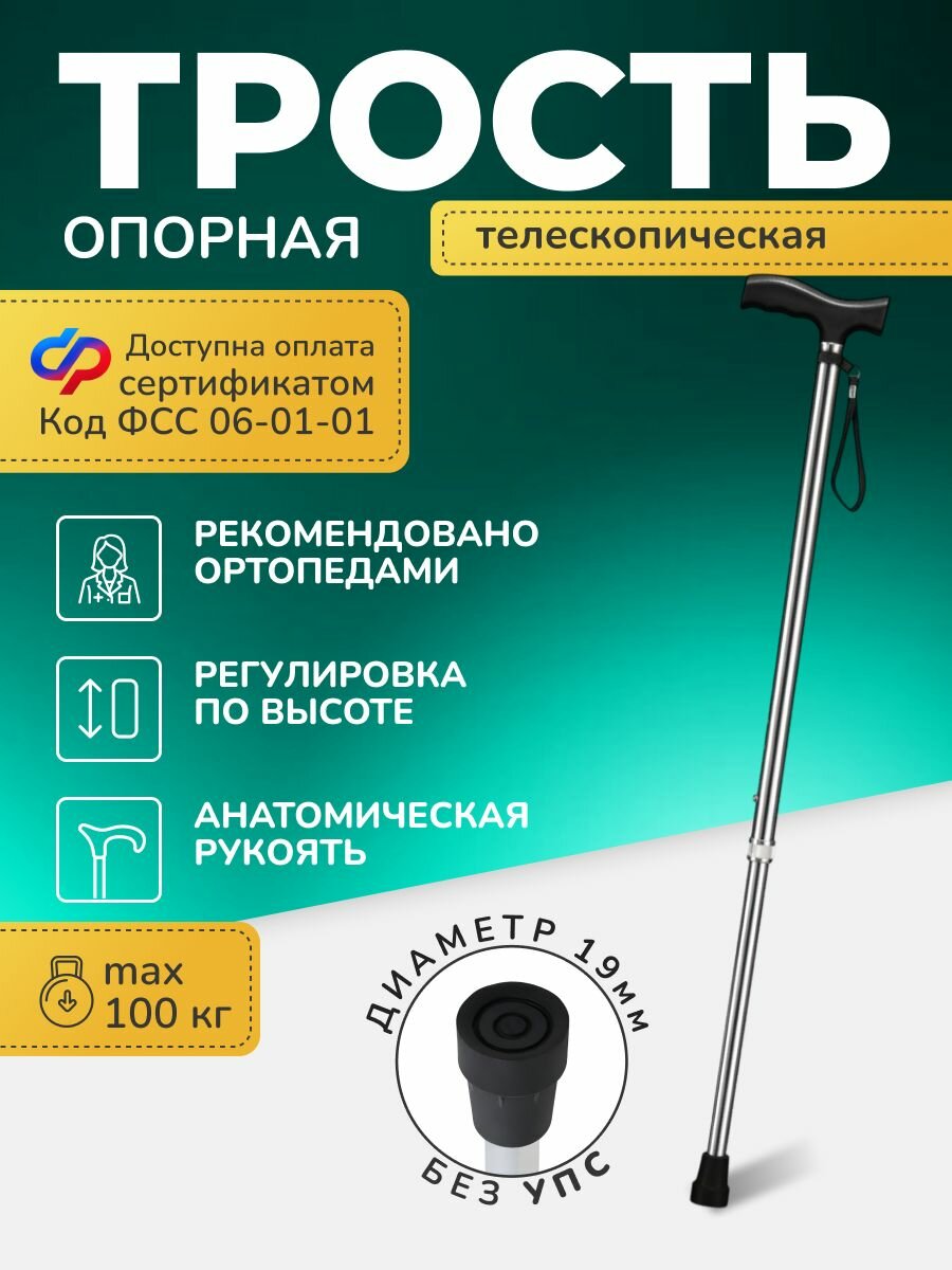 Трость Barry C Standart опорная под рост 155-190 см для ходьбы для пожилых цвет хром Т-образная ручка Код ФСС 06-01-01