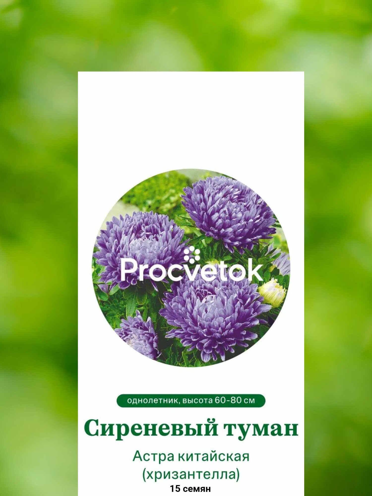 Семена Астры китайской Хризантелла Сиреневый туман, процветок