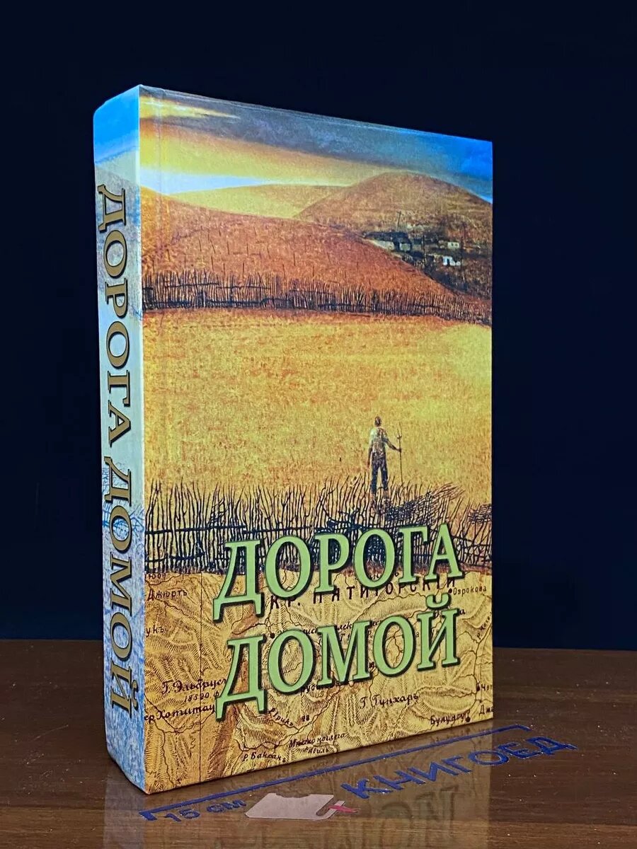 Книга. Дорога домой 2011 (2040801052042)
