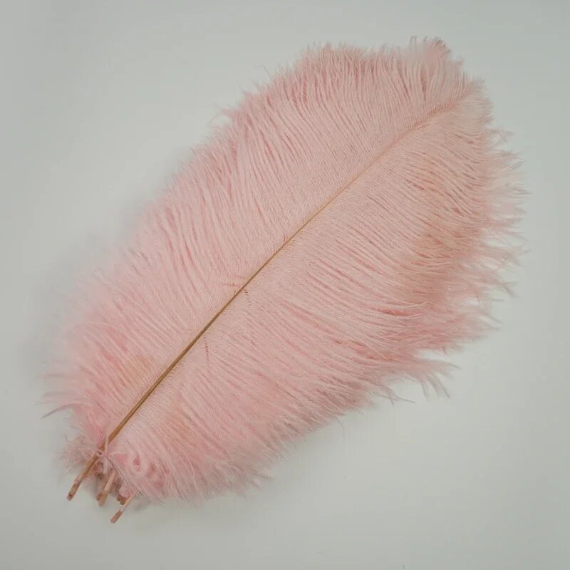 Страусиные перья WyFeay, окрашенные Розовый, 25-30cm 10-12inch, Light Pink
