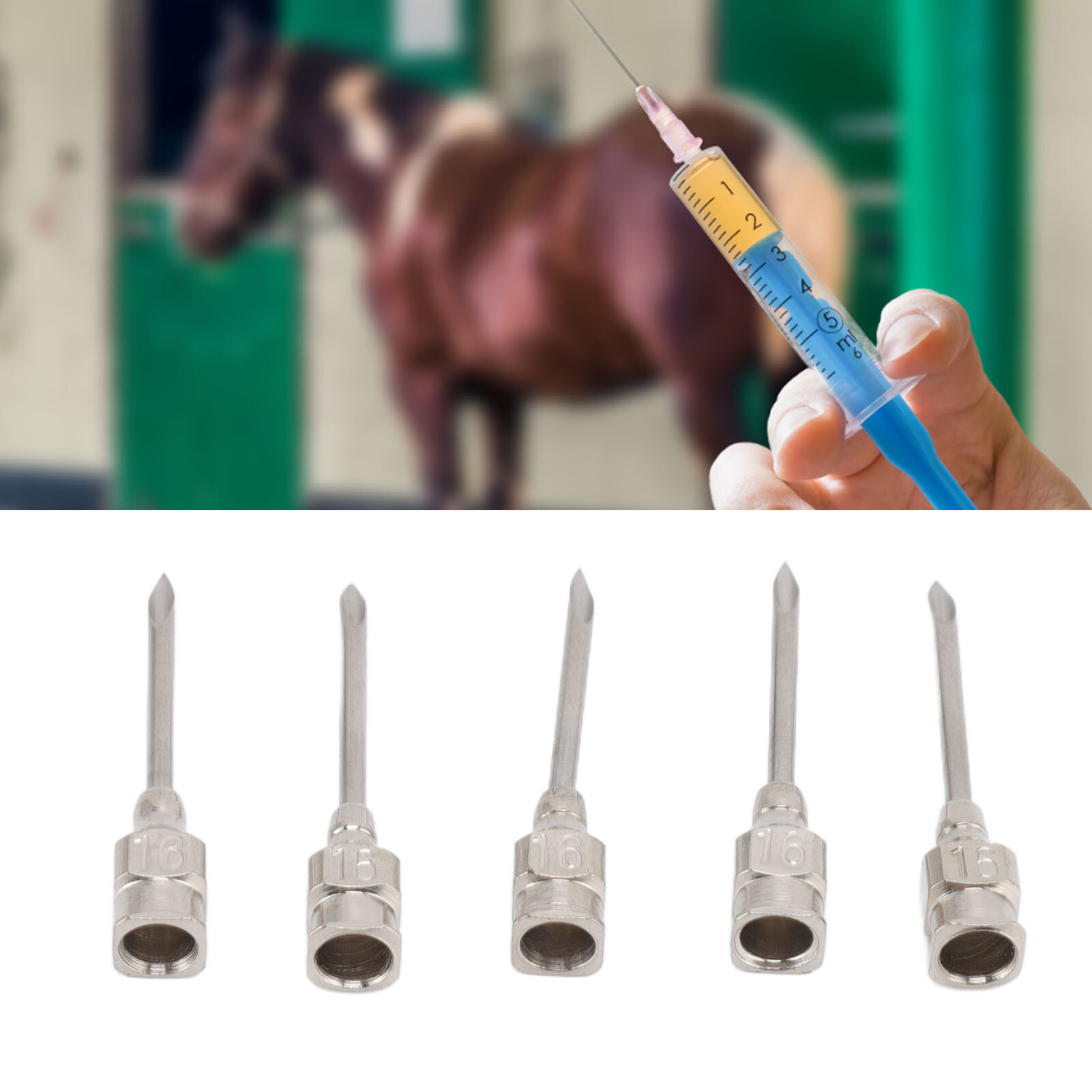 Иголки для инъекций для птицы из нержавеющей стали, иголки для инъекций для крупного рогатого скота и свиней, аксессуары для инъекционных иголок для коров и свиней, 16x20 мм / 0.6x0.8 дюйма, 5 коробок (по 10 штук в каждой, всего 50 штук)