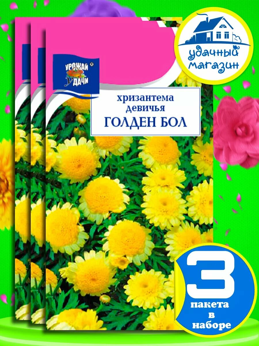 Семена хризантемы Урожай Удачи "Голден Болл", многолетние, махровые, желтые, 3 шт