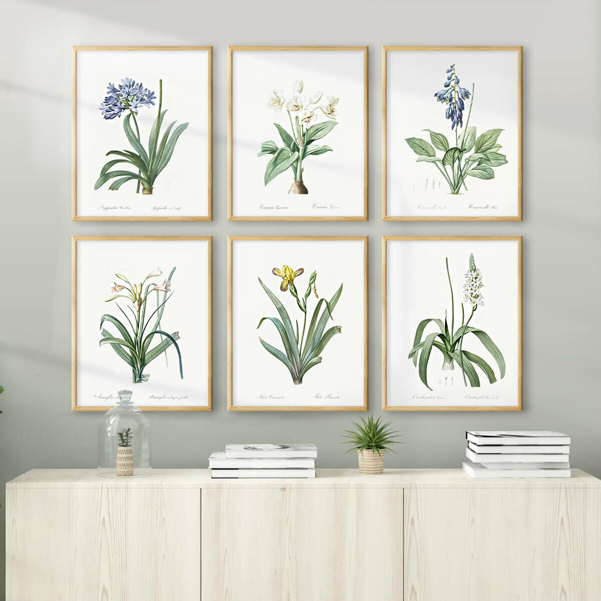Постер 6 шт 30x40 без рамки "Растения ботаническая иллюстрация" набор картин для интерьера