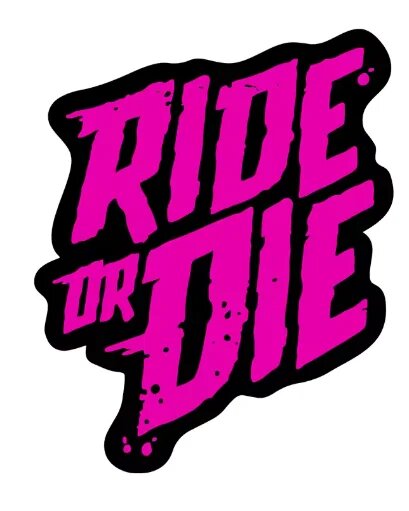 Наклейки на раму велосипеда Ride Or Die винил белые/черные Розовый, Pink