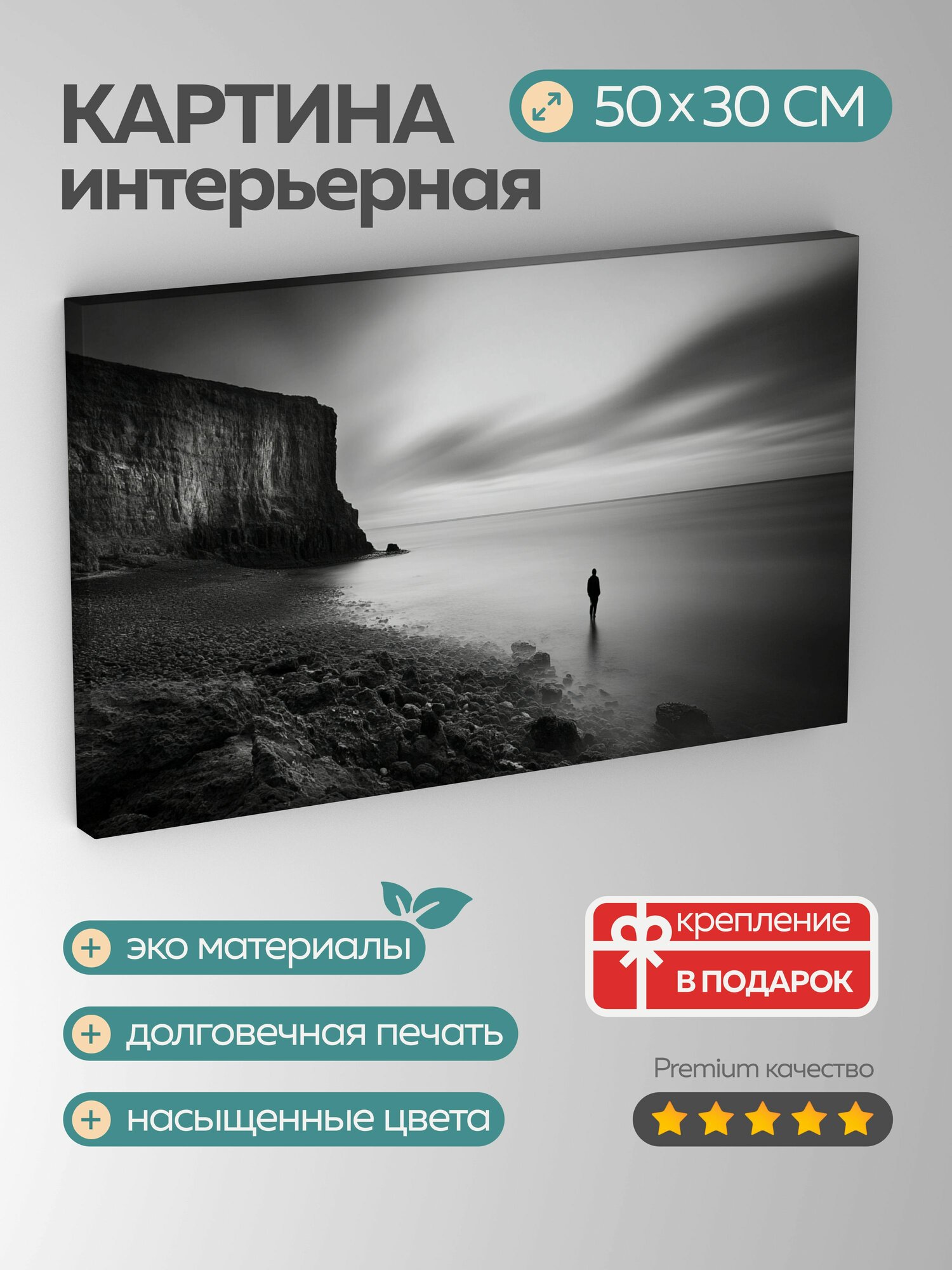 Картина на холсте интерьерная 50х30 см, пустынный пляж, одиночество, задумчивость, созерцание, черно-белая фотография