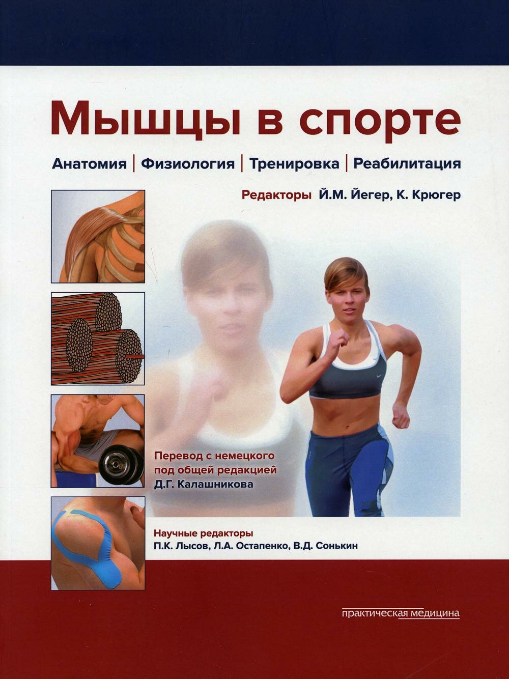 Книга Практическая медицина Мышцы в спорте. Анатомия. Физиология. Тренировки. Реабилитация. Под редакцией Калашникова Д. Г, 2016 г