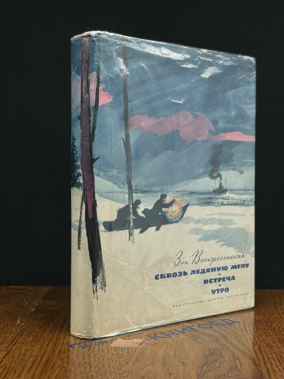 Книга. Сквозь ледяную мглу. Встреча. Утро 1969 (2043704911256)