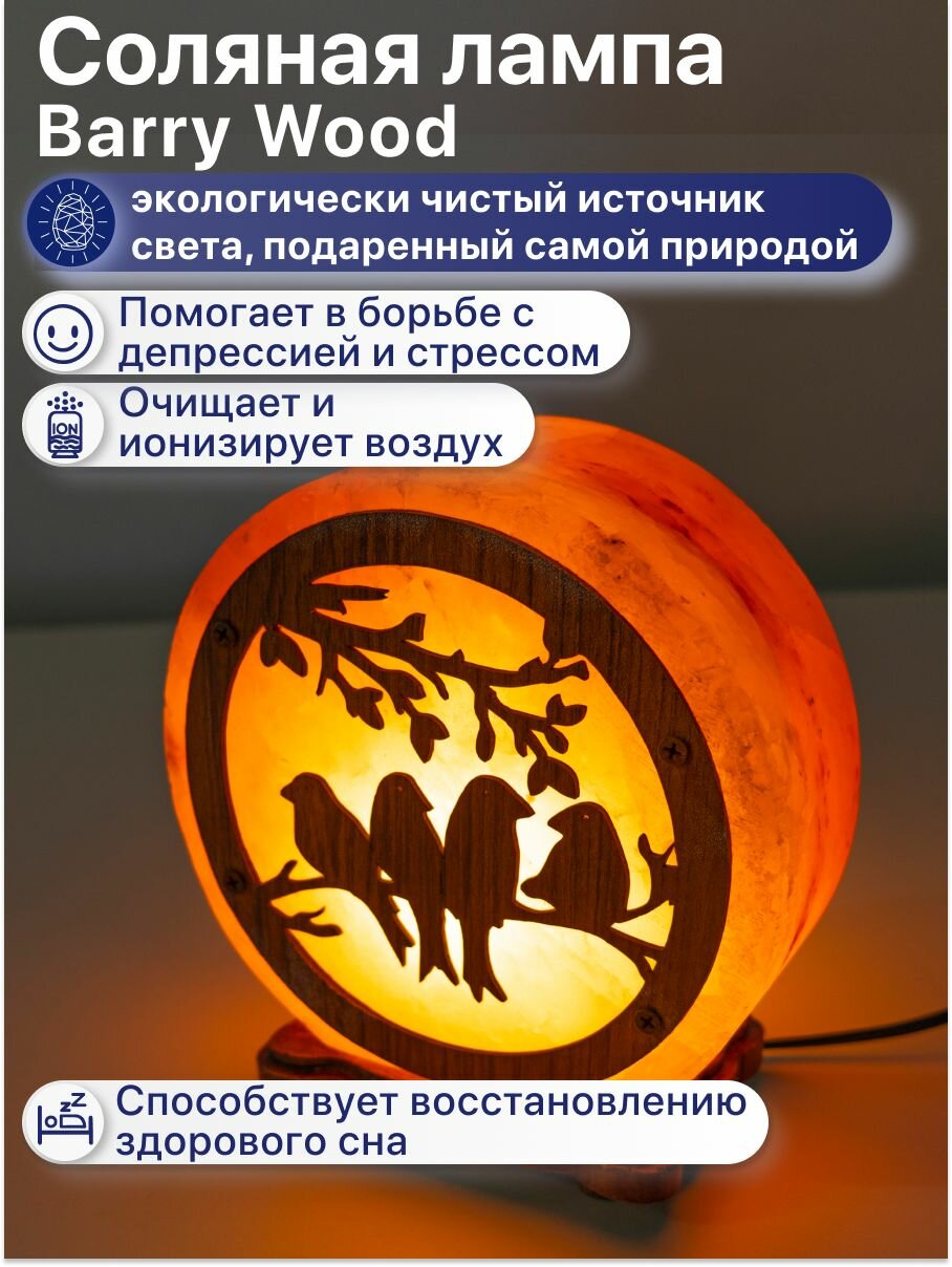 Соляная / солевая лампа настольная декоративная Barry Wood лечебная из гималайской соли, светильник ночник детский