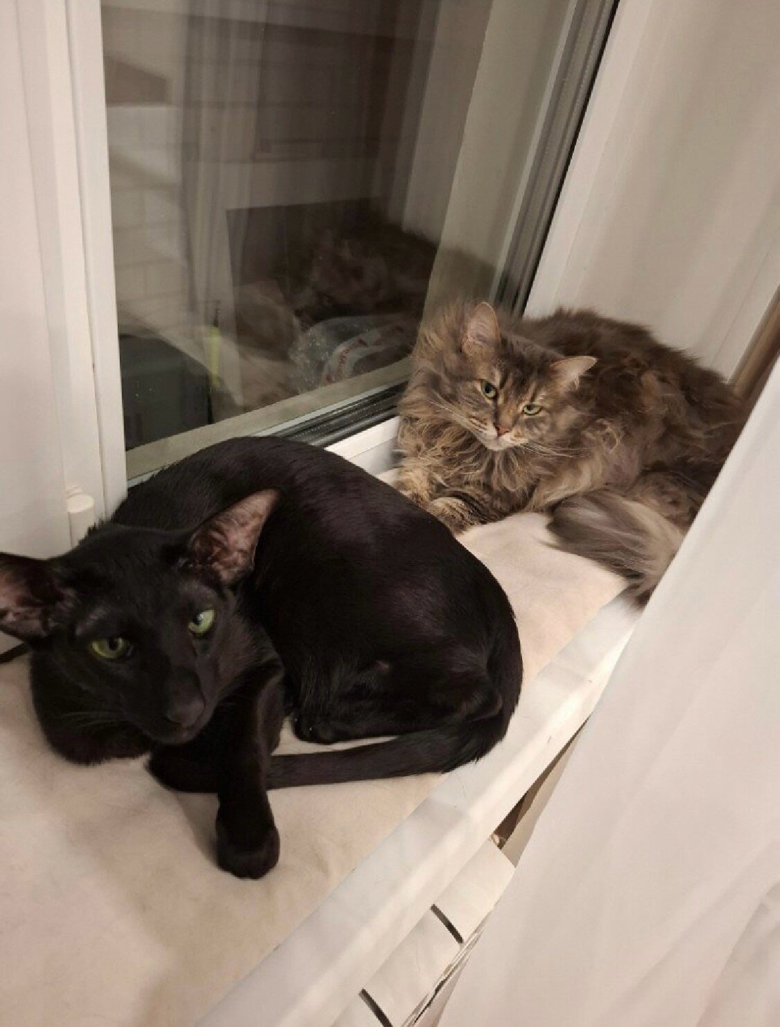 Лежанка 24*78 для кошек на узкий подоконник антискользящая.