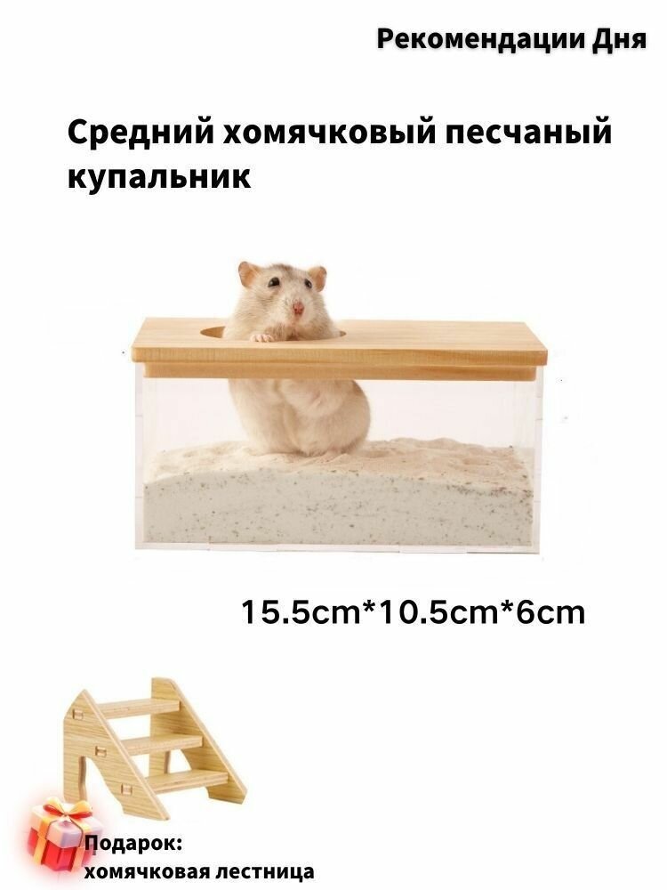 Купалка для мелких грызунов/Домик для хомяков, Бесплатная лестница для хомяка