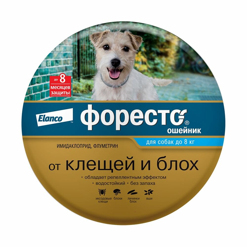 Форесто Ошейник для собак меньше 8кг 38см
