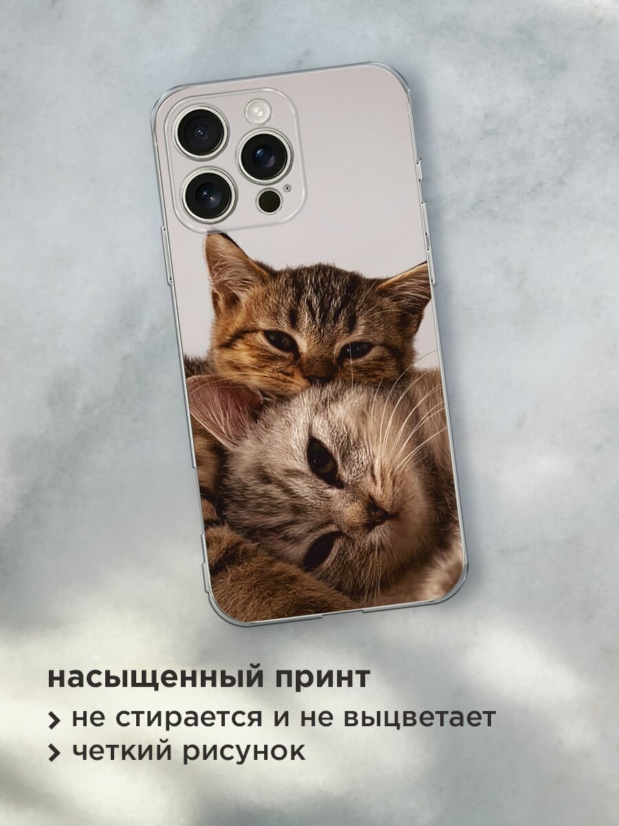 Чехол на Apple iPhone 16 Pro Max / Айфон 16 Про Макс с принтом "Нежные котята - 14 февраля" — фото 1