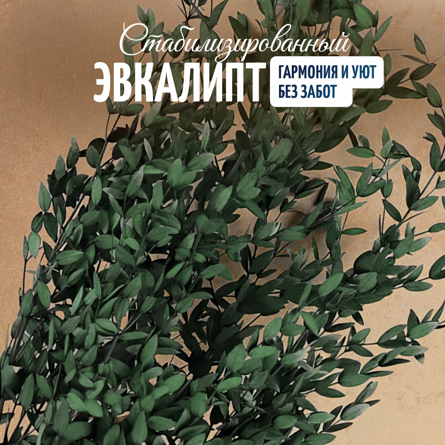 Сухоцветы для декора эвкалипт стабилизированный