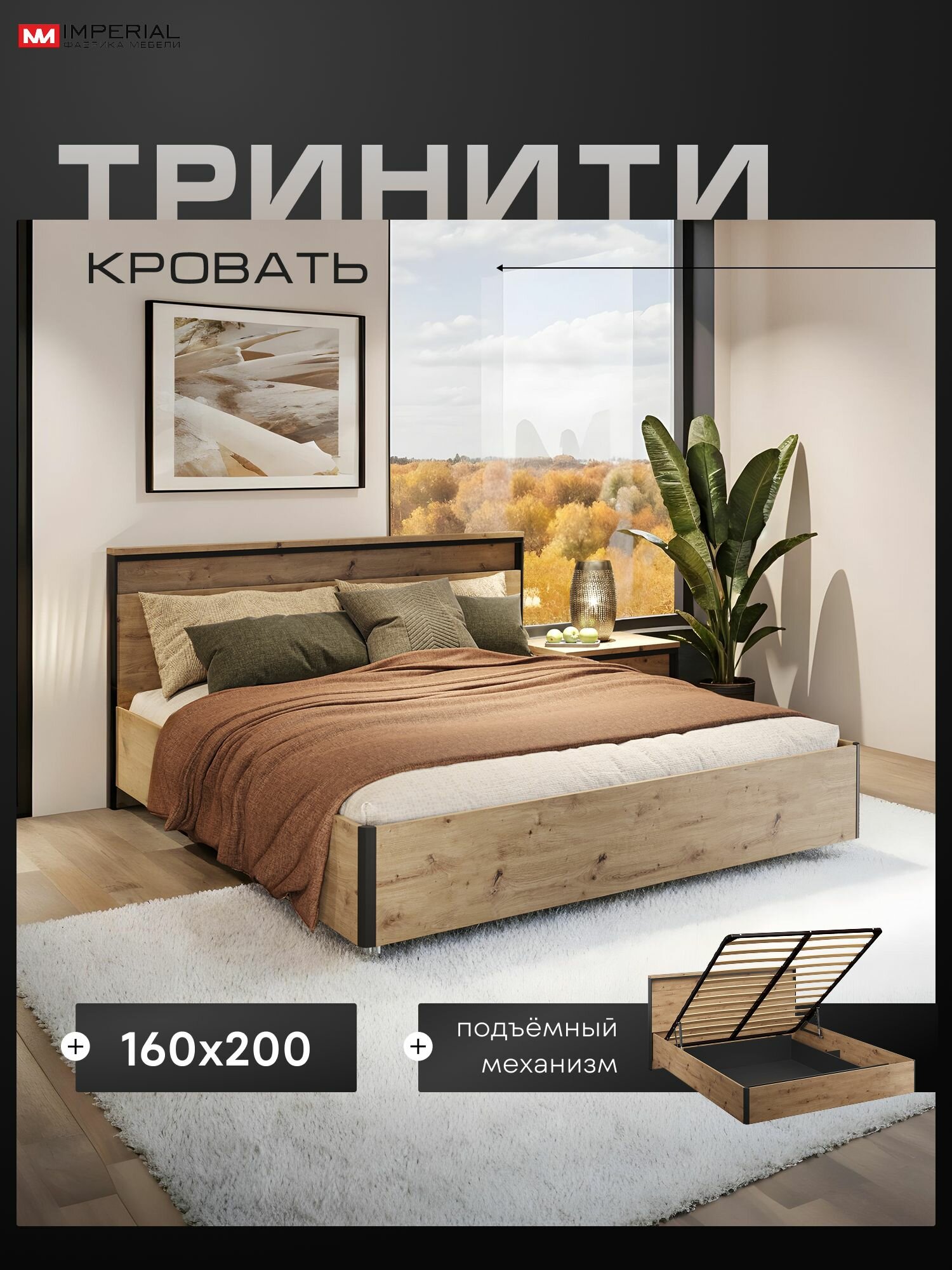 Кровать 160х200 с подъемным механизмом двухспальная 160х200 Тринити