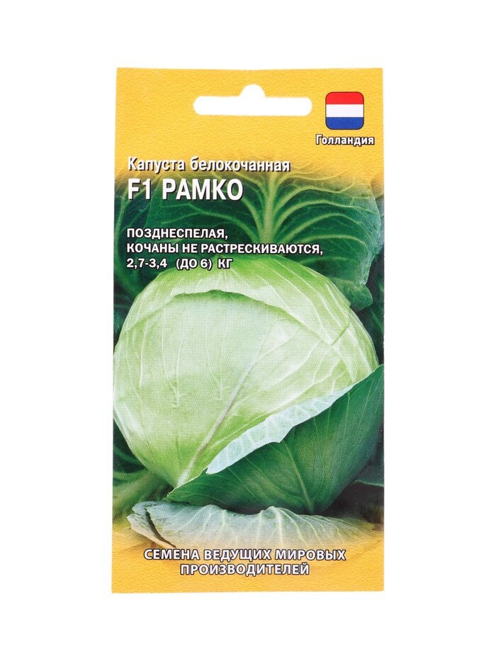 Семена Капуста белокоч. Рамко F1 10 шт. (для квашения Голландия) 10965109