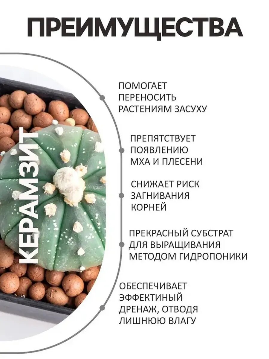 Эффективный дренаж для растений и почв