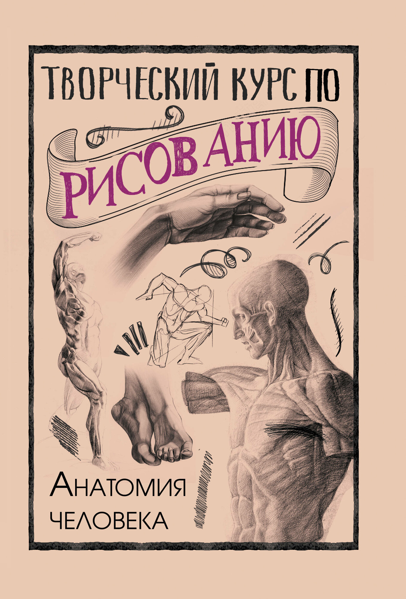 Грей М. Творческий курс по рисованию. Анатомия человека