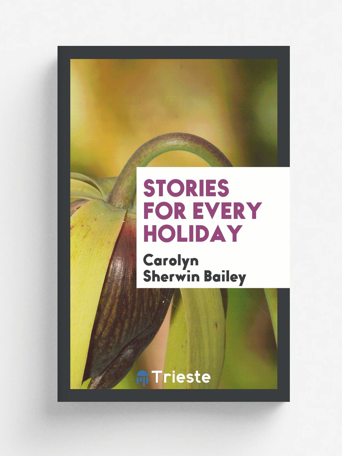 Stories for every holiday