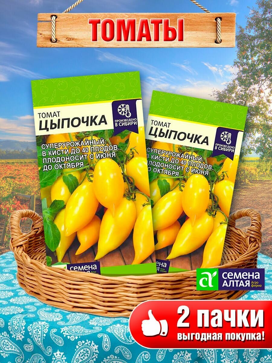 Семена урожайного томата "Цыпочка" от компании Семена Алтая (2 пачки)