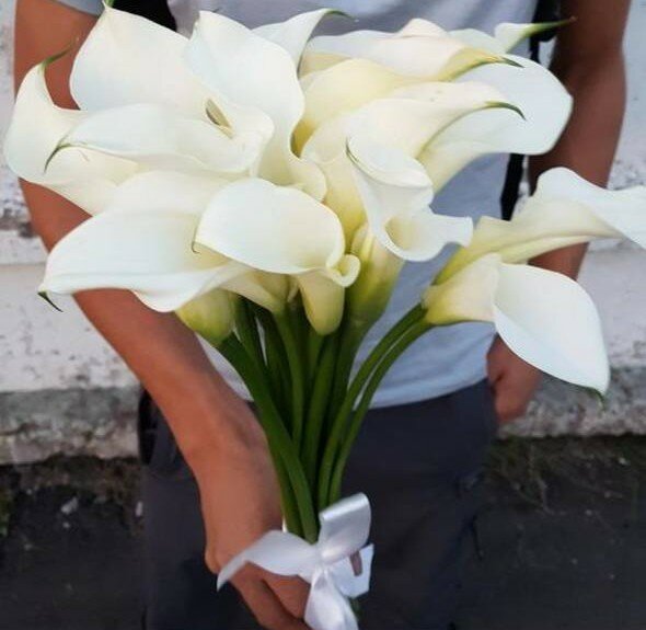 Букет из 19 белых калл. Живые цветы для любимой девушки, женщины