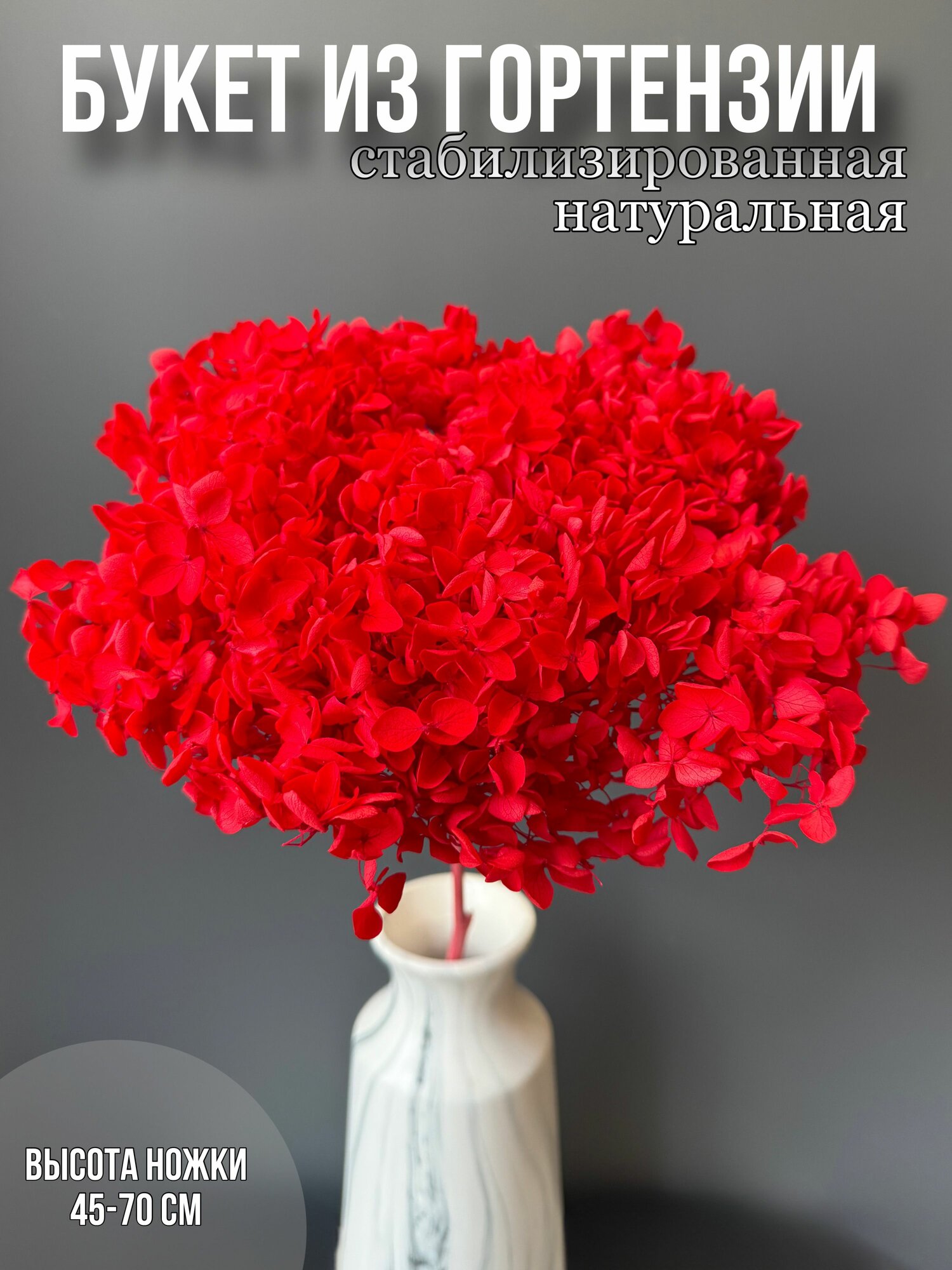 Гортензия стабилизированная сухоцветы для декора