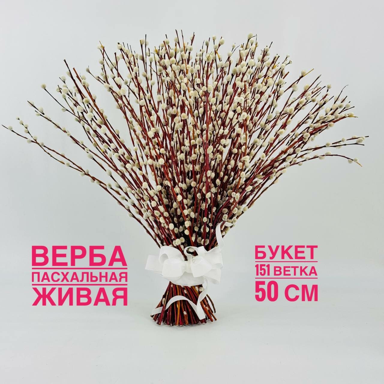 Большой букет из 151 ветки живой натуральной вербы. Пасхальный букет вербный