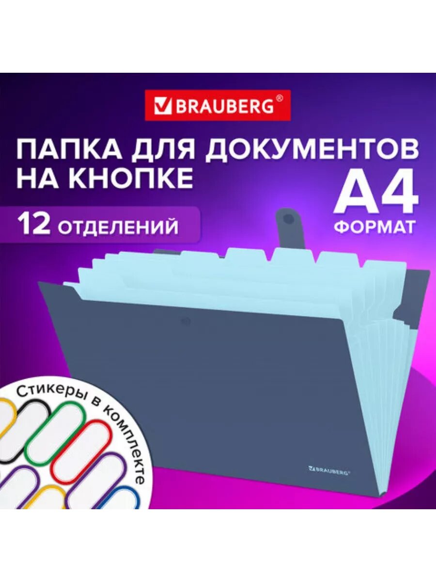 Папка для документов органайзер