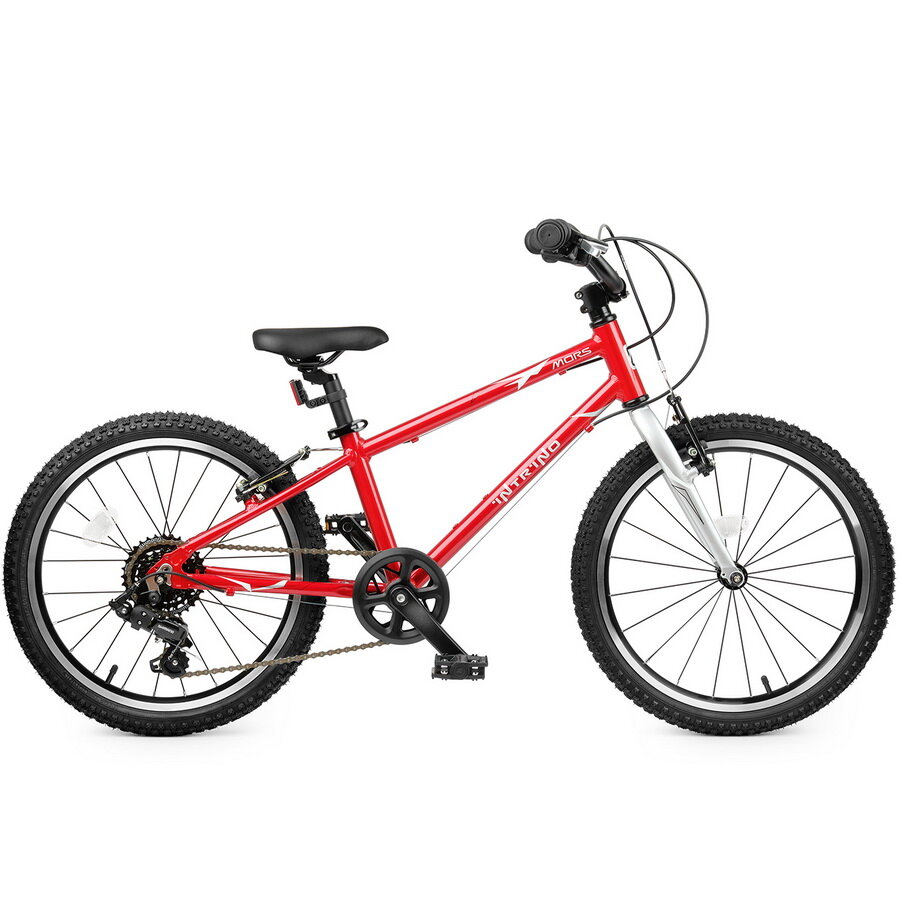 Велосипед Intrino Terra 20" (требует финальной сборки), Цвет red