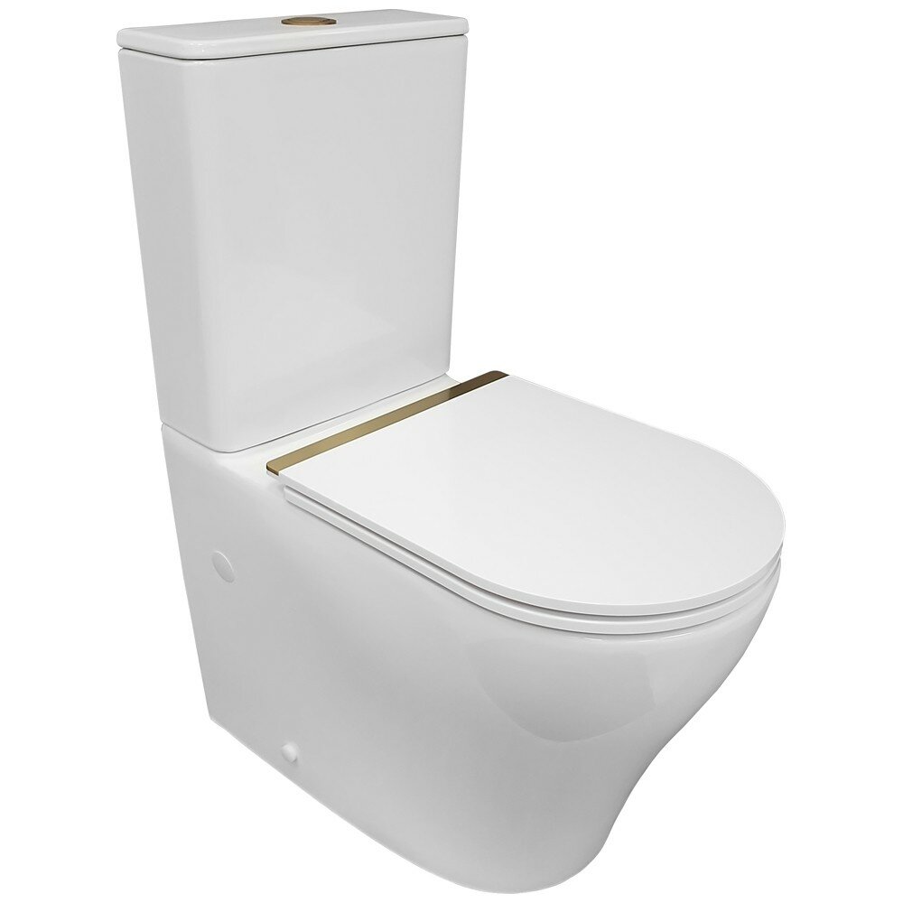 Унитаз Bloomix Barron 3.0 AD3091T/UF3gold безободковый торнадо