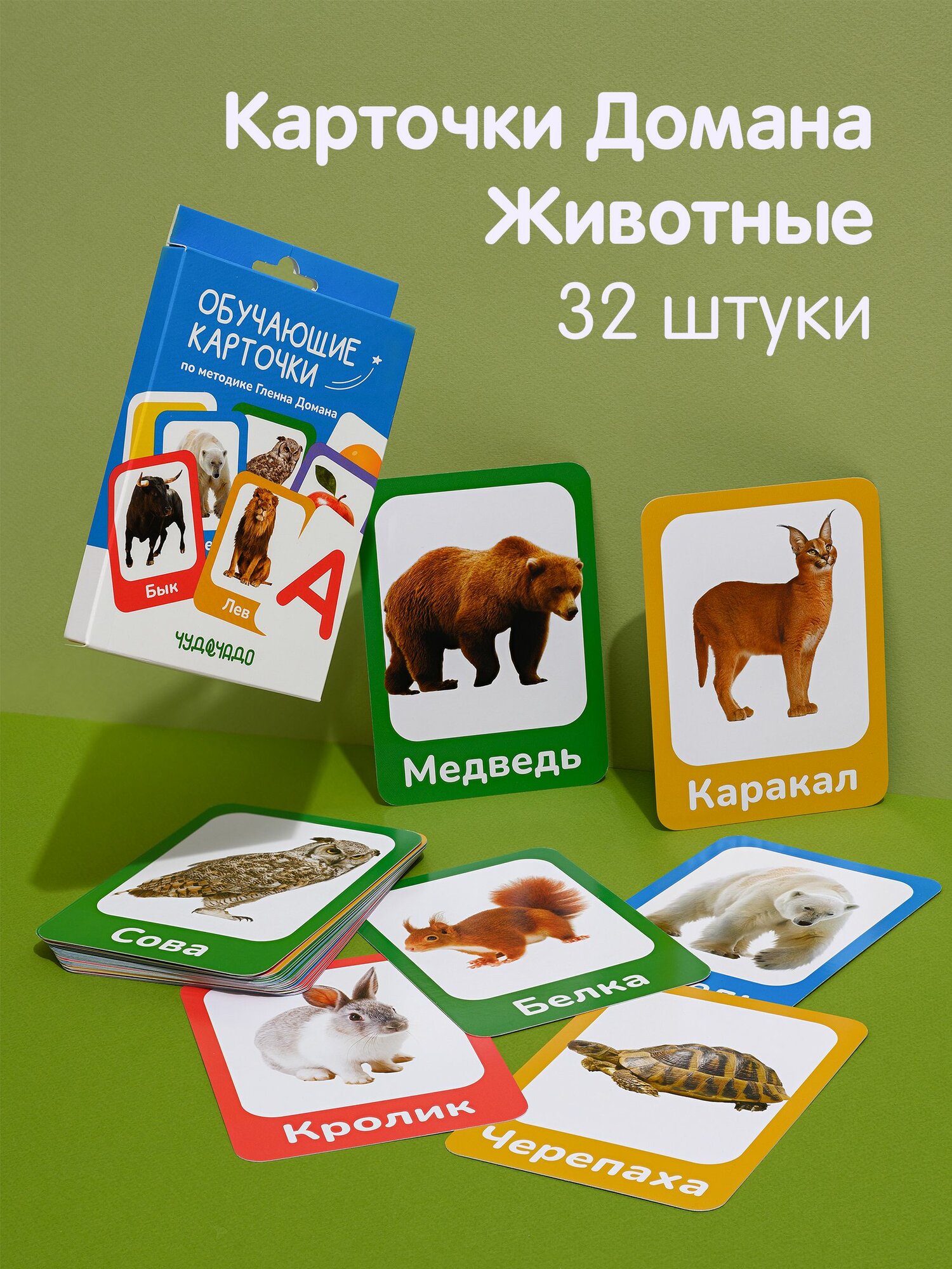 Обучающие карточки по методике Гленна Домана
